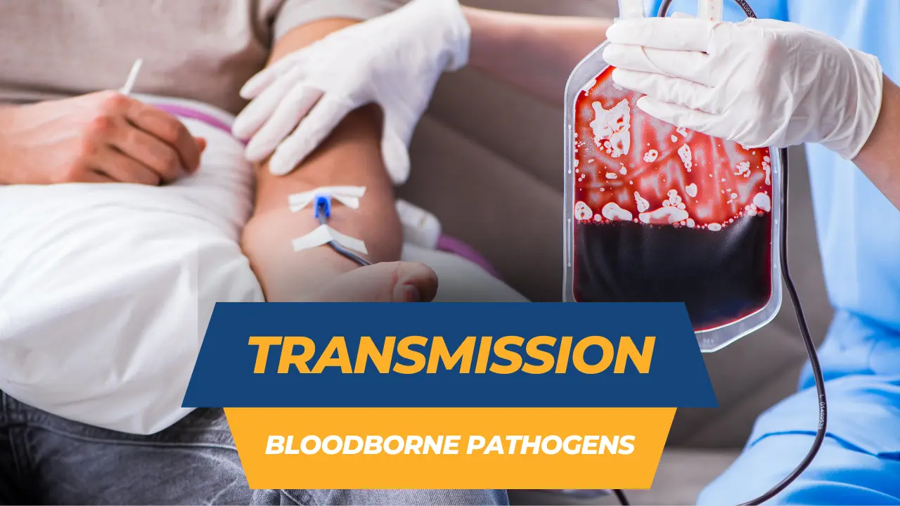 Bloodborne Pathogen Transmission: Understanding Bloodborne Pathogen Spread